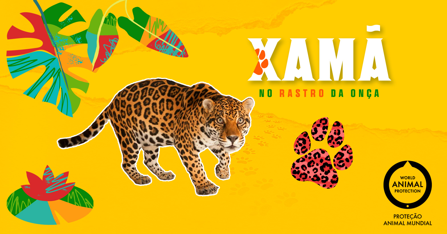 Xamã: Um símbolo de esperança para a fauna silvestre brasileira ...